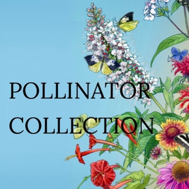 Christensen & Rafferty Fine Jewelry Launches Pollinator Collection for ...